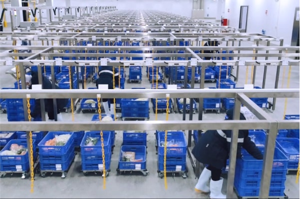 Digital Assort System